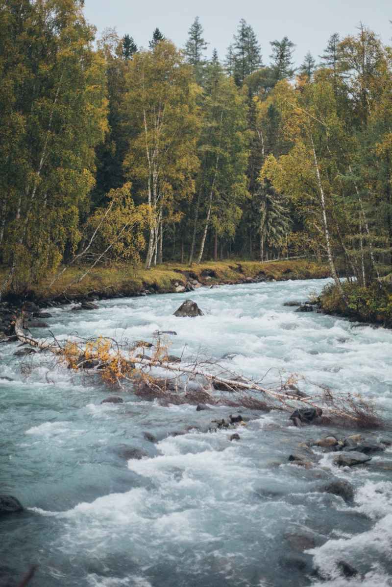 My Gen X Playlist: Find the River – REM – MyGenXerLife